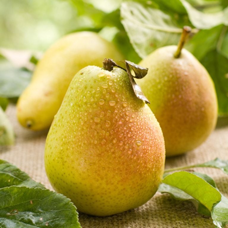 Renversé aux poires - Châtelaine