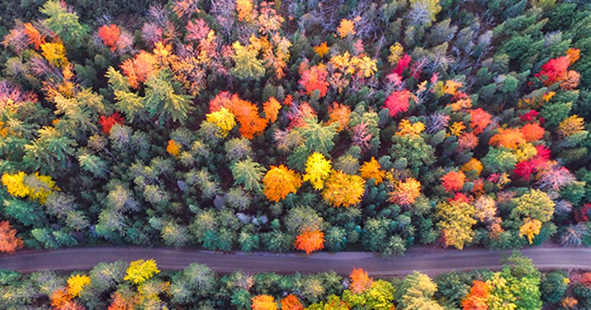 L'automne à travers le monde : des photos qui font rêver - Châtelaine