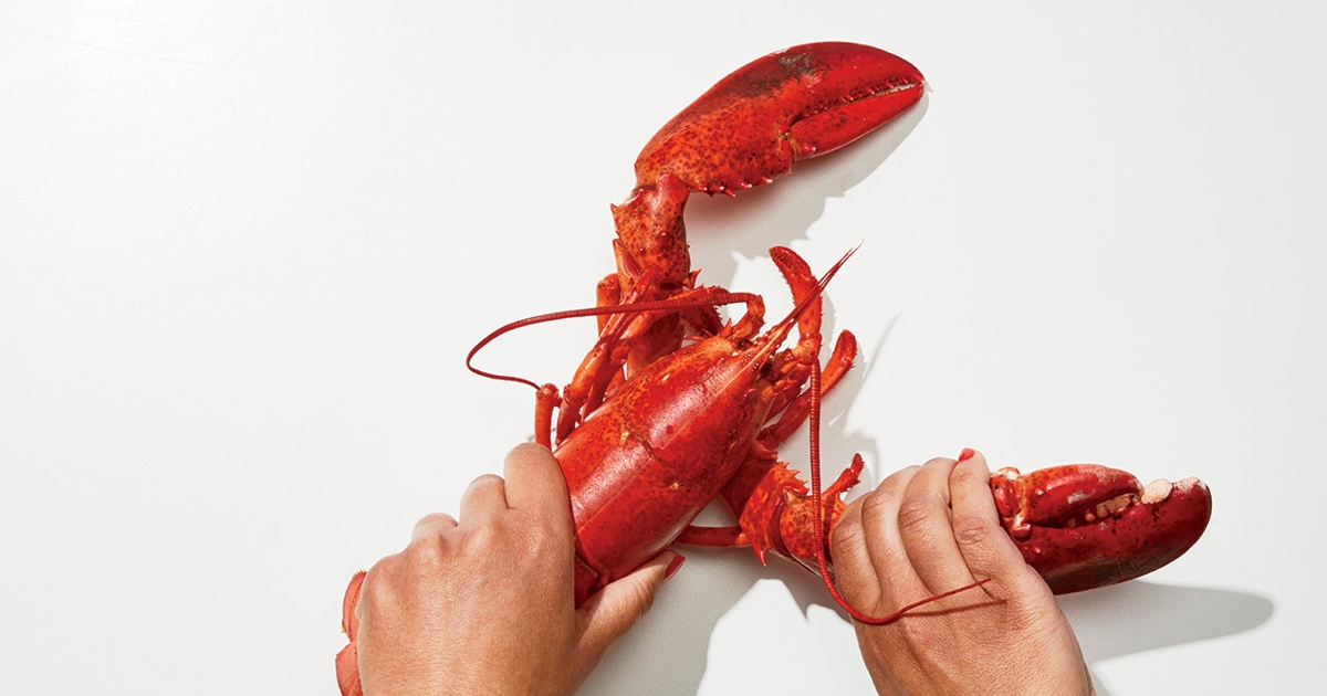 Comment décortiquer un homard - Châtelaine